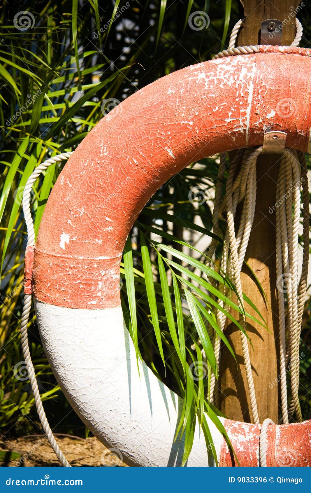 Lifesaver stock photo. Image of safe, equipment, safety - 9033396