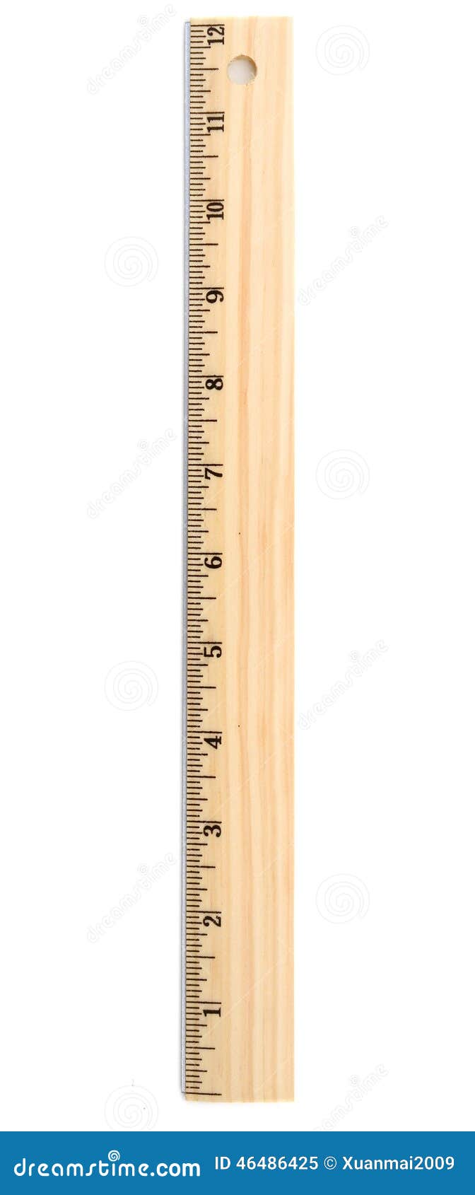 A lifetime 12 inch ruler stock image. Image of standard - 46486425