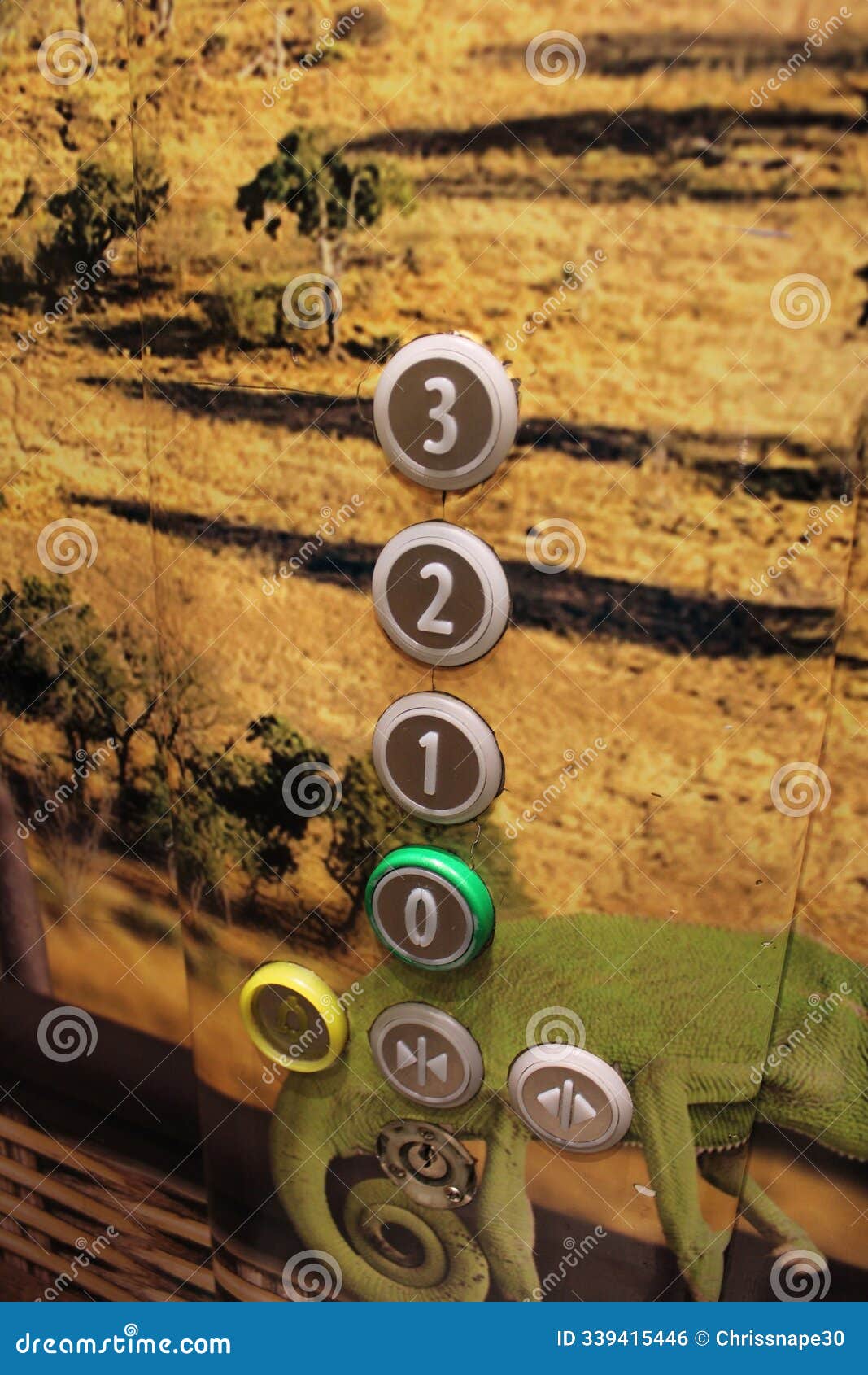 Lift Control Panel Taken Inside Lift, Buttons Visible 0, 1, 2, 3, Close ...