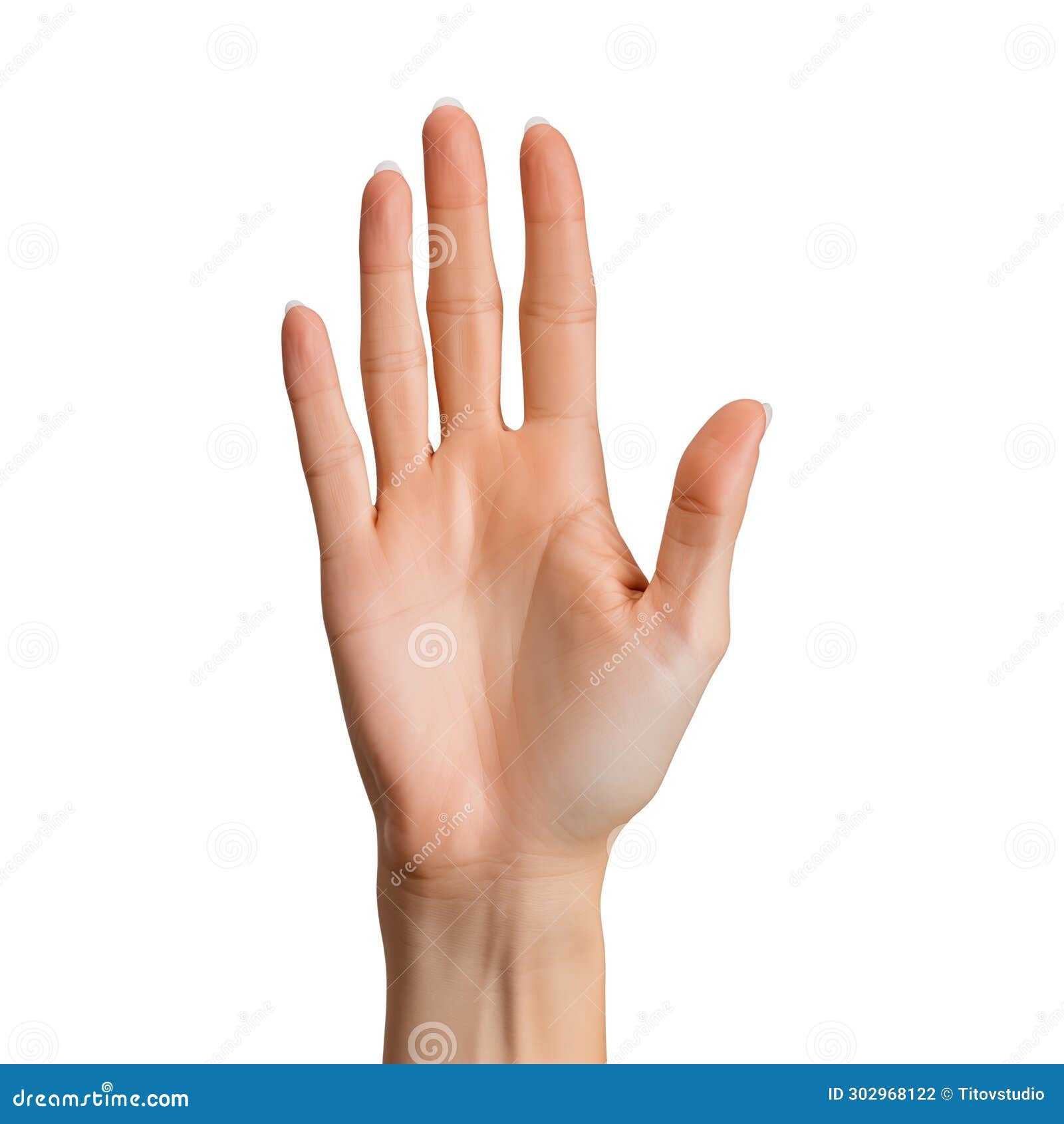 Lifted Hand Up Isolated On White B Stock Photo | CartoonDealer.com ...