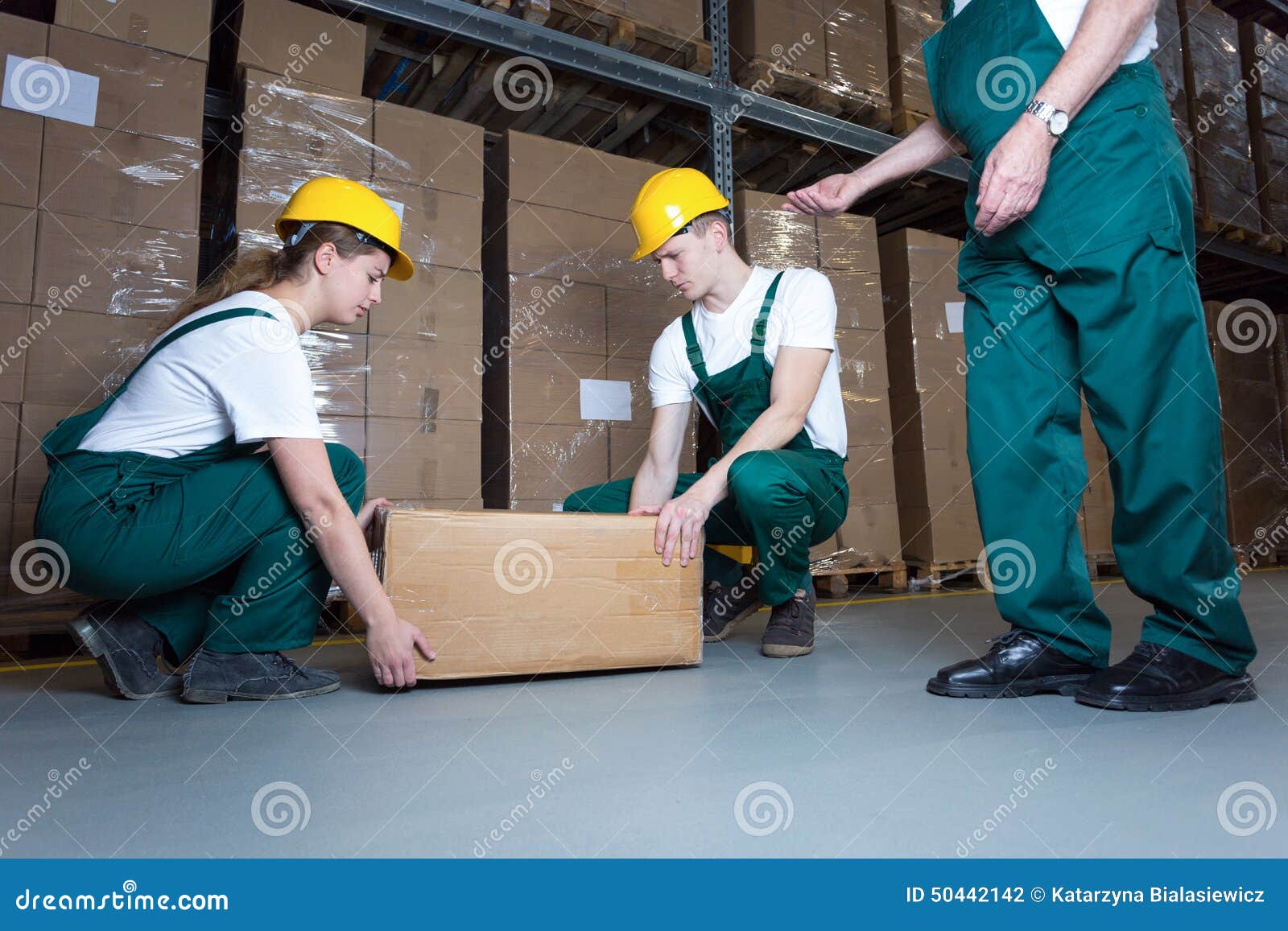 Lifting the box stock photo. Image of logistics, caucasian - 50442142