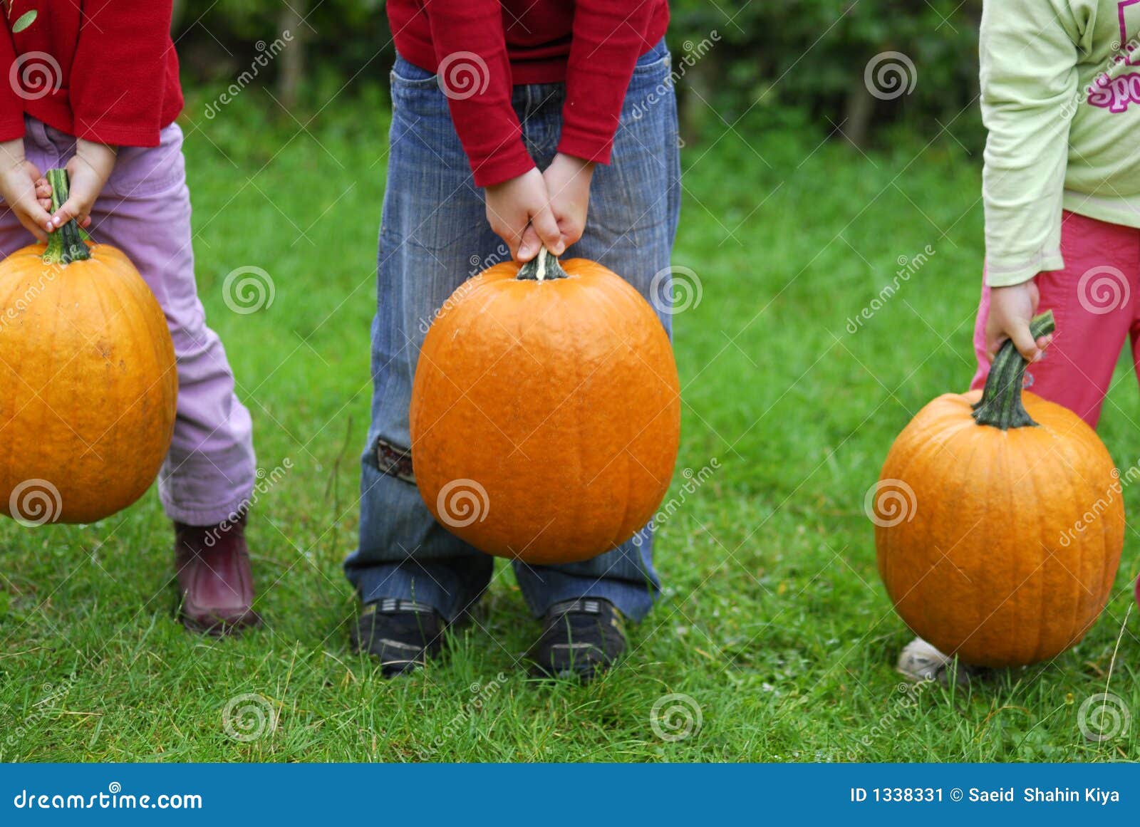 Lifting pumpkin stock image. Image of fall, nature, garden - 1338331