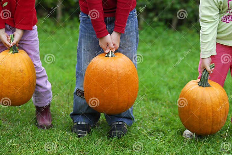 Lifting pumpkin stock image. Image of fall, nature, garden - 1338331
