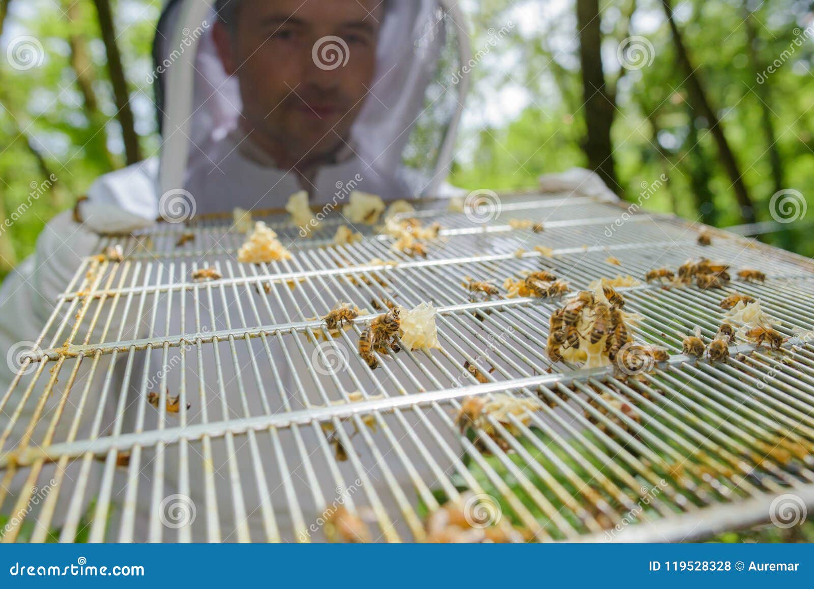 Lifting up a grille stock photo. Image of candle, protective - 119528328