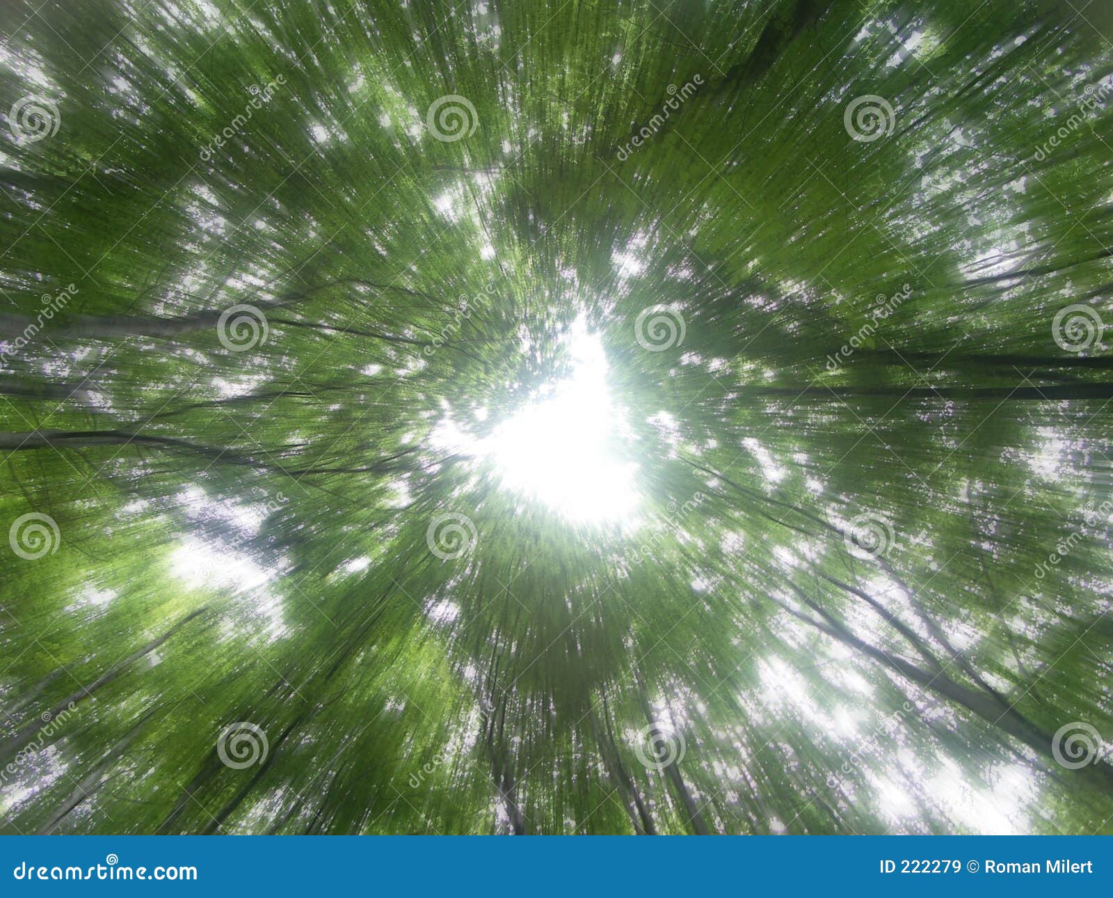 Light from above stock image. Image of outdoors, bright - 222279