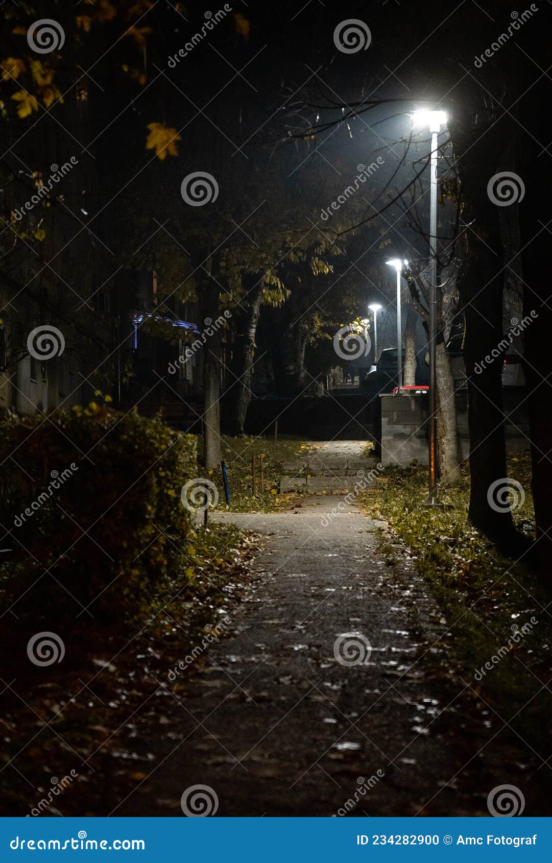 Light Alley at Night in the City Stock Photo - Image of autumn, road ...