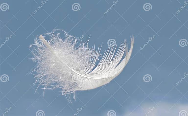Light as a feather stock photo. Image of floaty, natural - 14918992