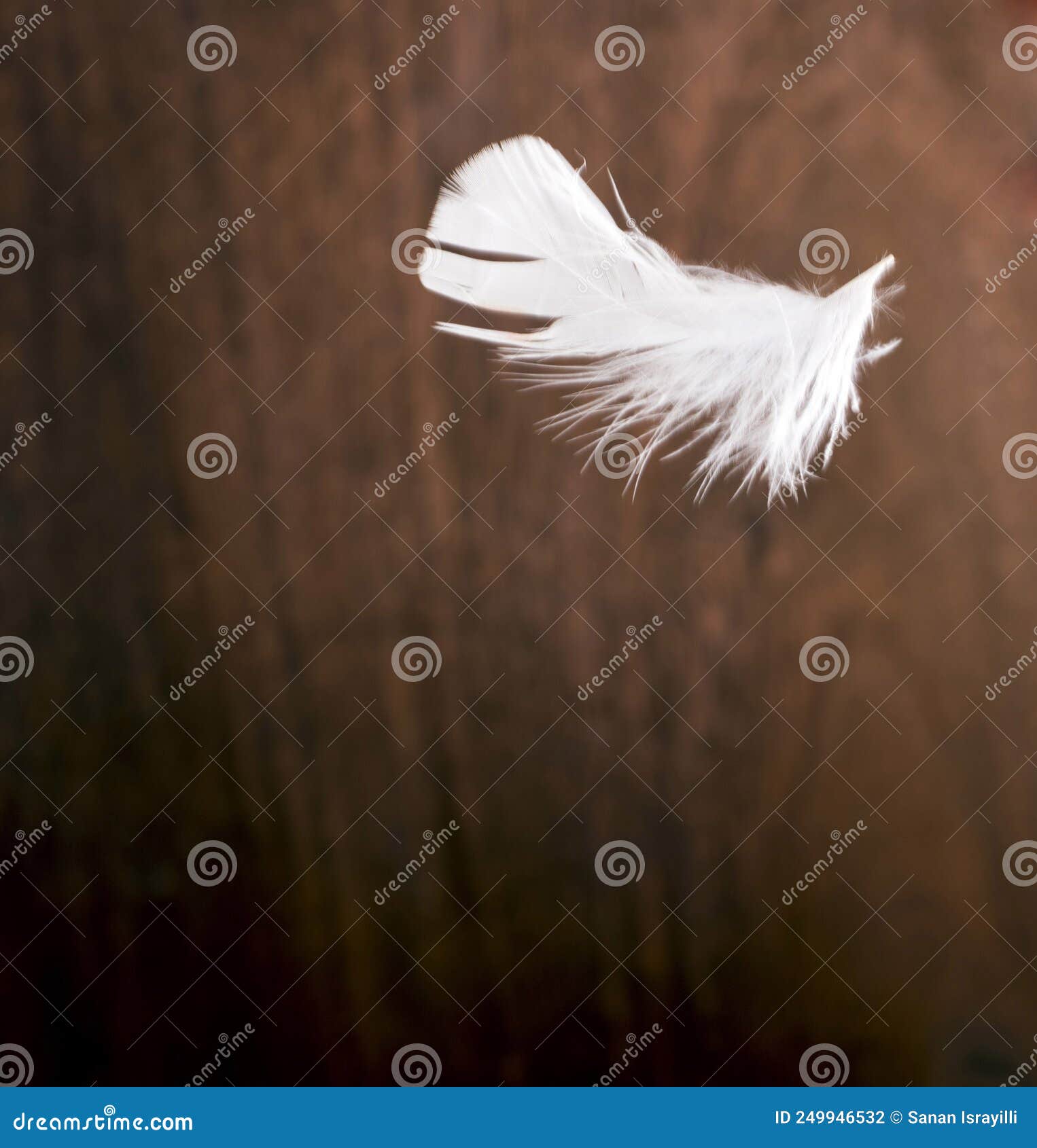 Light As a Feather Concept with Floating Feather Stock Photo - Image of ...