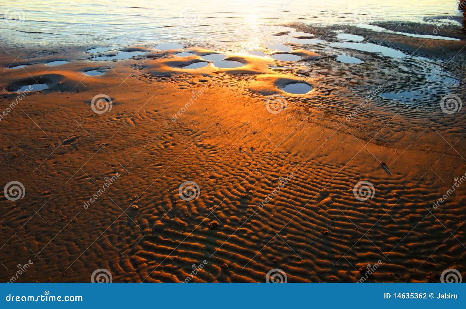 Light on Beach stock photo. Image of serene, colorful - 14635362