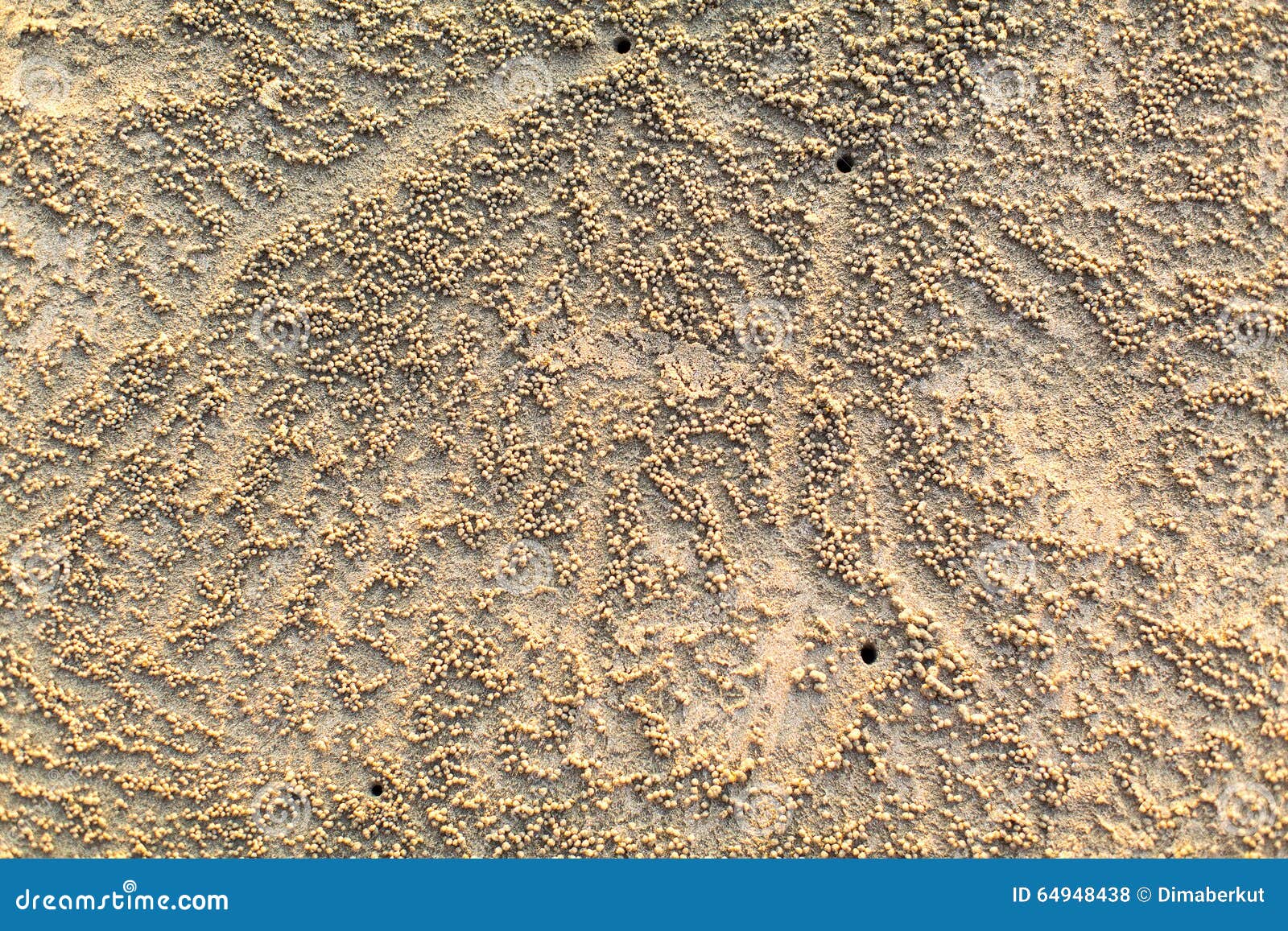Light Beach Sand Texture. Nature. Stock Photo - Image of sand, surface ...