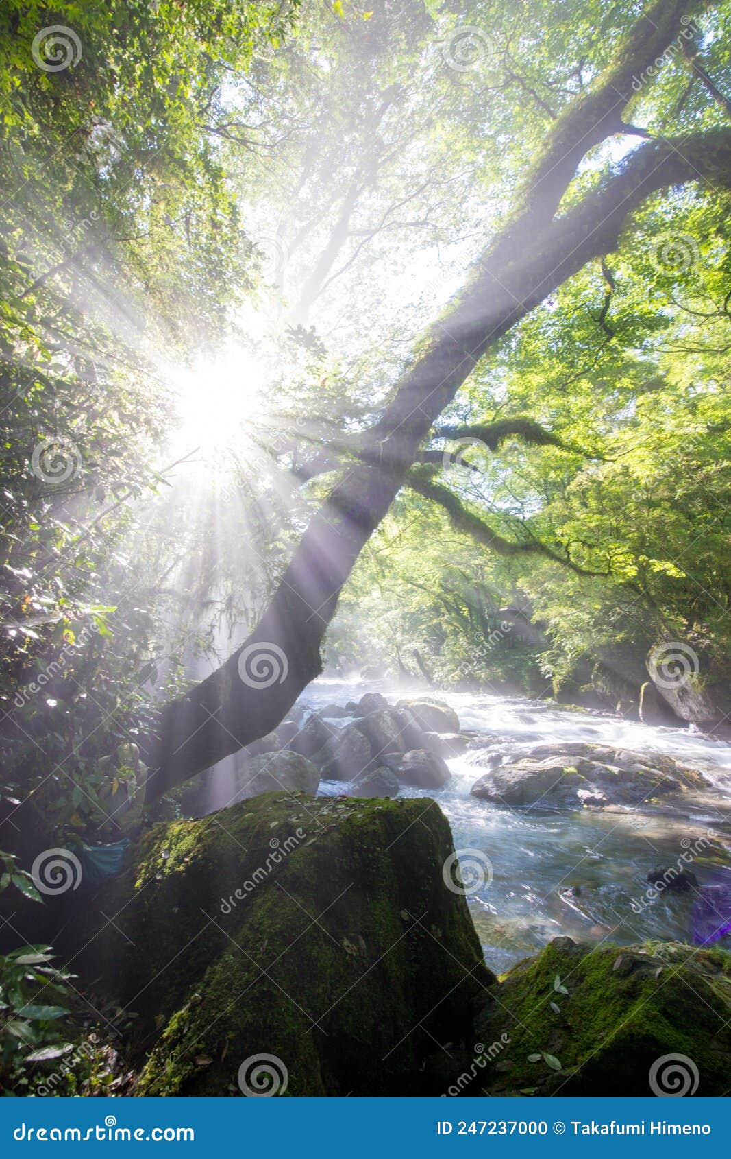 Light beam of the valley stock photo. Image of light - 247237000