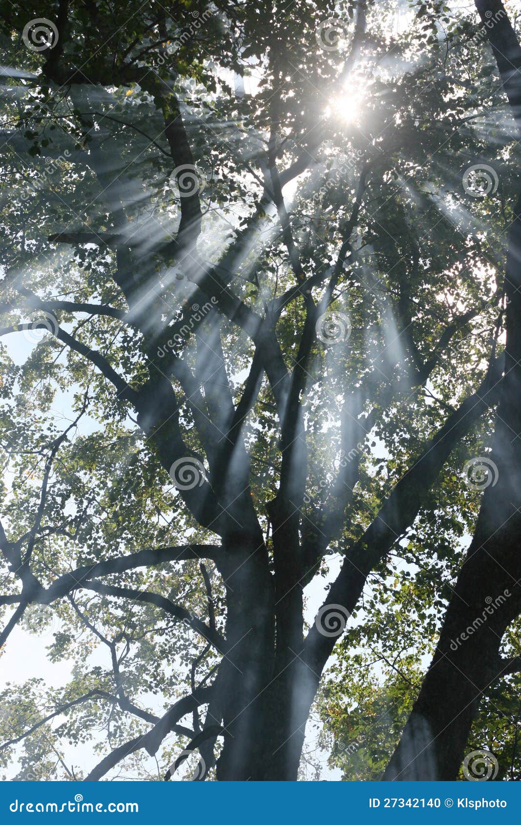 Light beams stock photo. Image of light, inspiration - 27342140