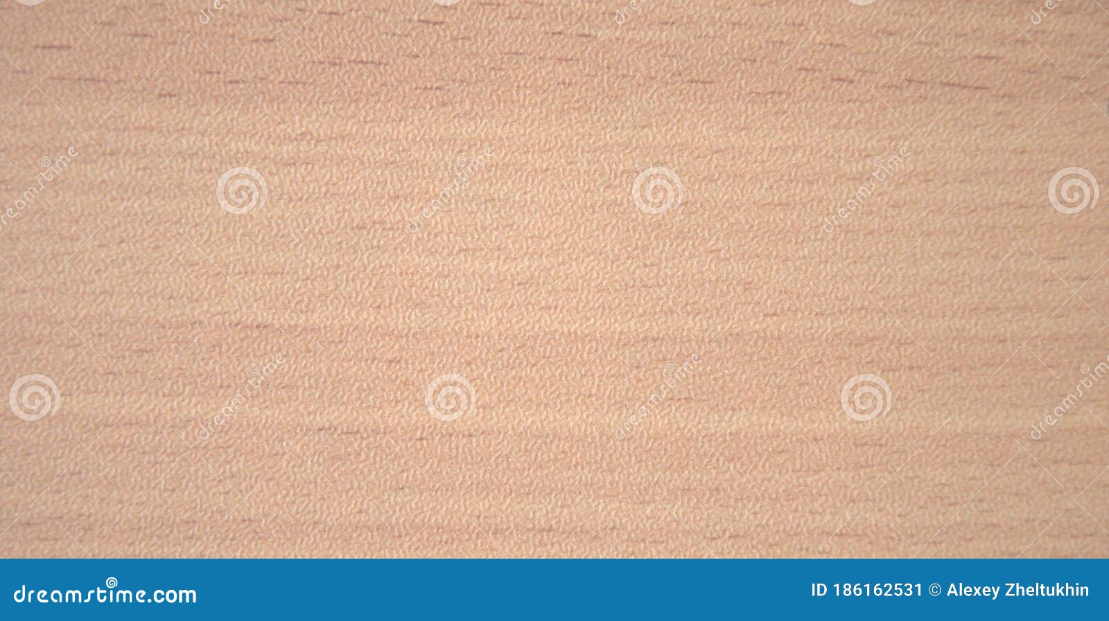 Light Beech, Closeup Texture Pattern of Natural Wood Stock Image ...