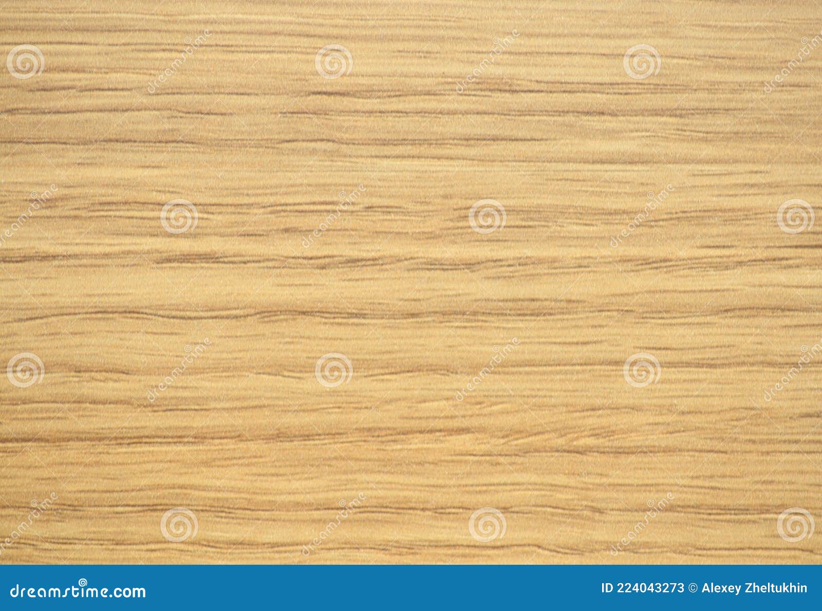 Light Beech, Flat Polished Natural Wood Surface Close-up Stock Image ...
