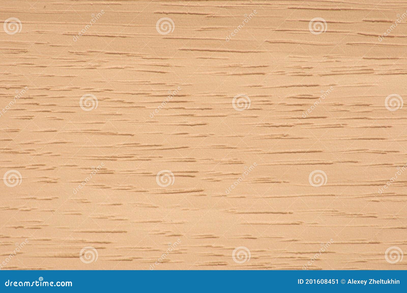 Light Beech, a Flat Surface of Natural Wood with a Rich Close-up ...