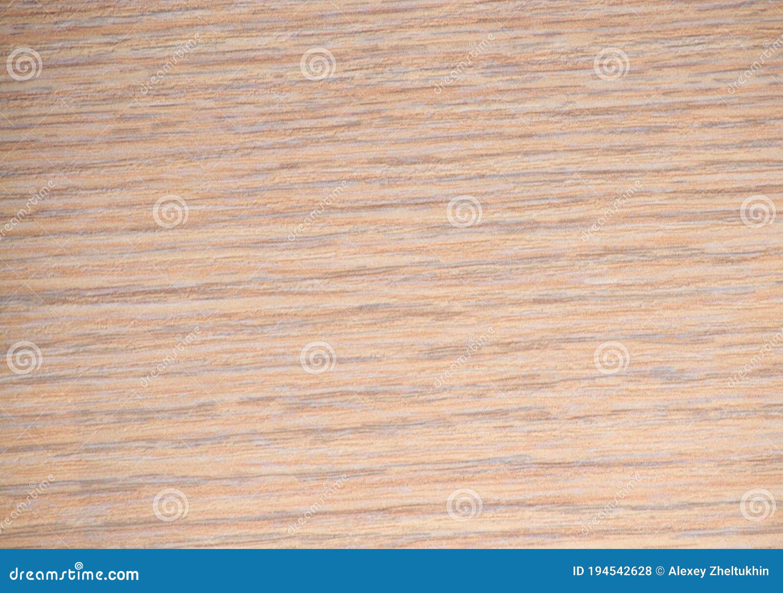 Light Beech, Natural Wood Texture with a Rich Pattern of Lines Close-up ...