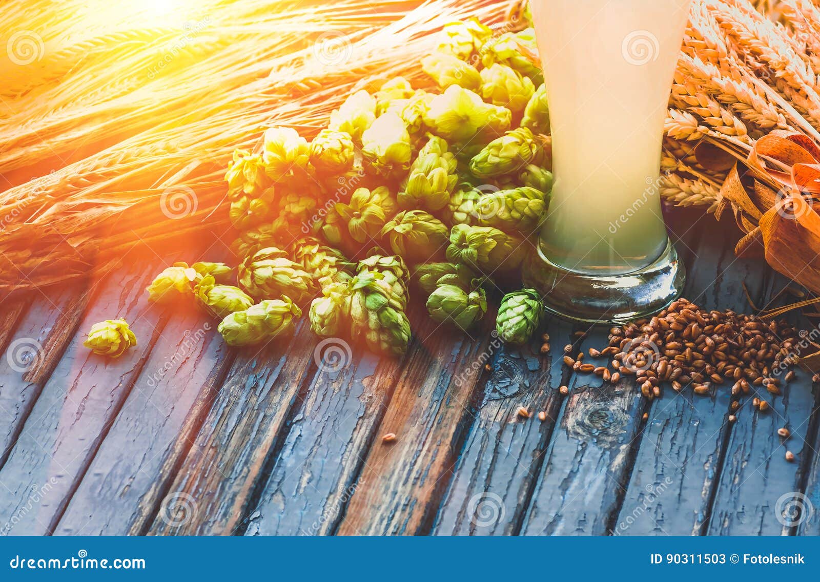 Light Beer, Malt, Hops, Barley Ears on the Table Stock Image - Image of ...