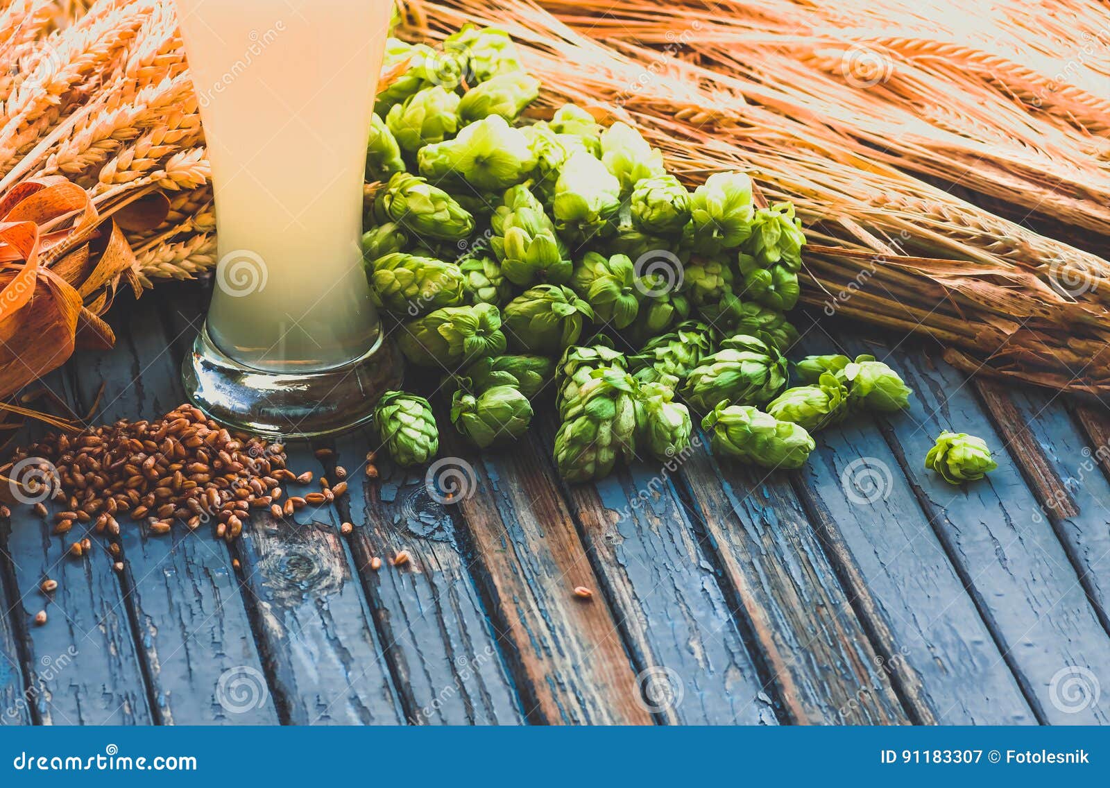 Light Beer, Malt, Hops, Barley Ears on the Table Stock Image - Image of ...