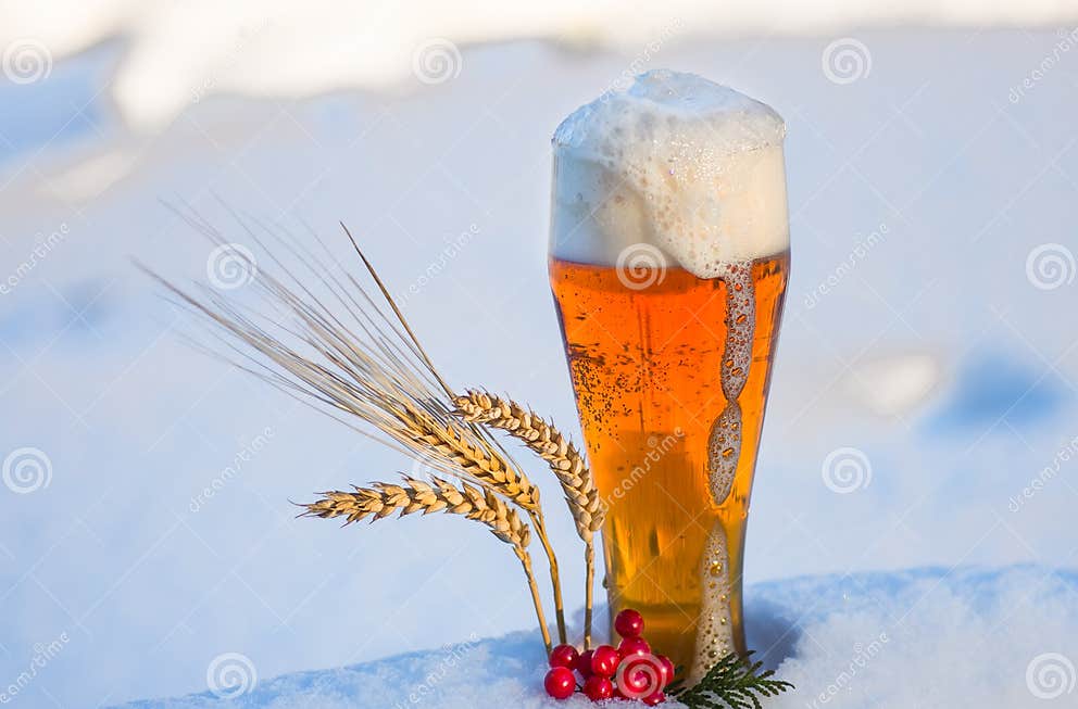 Light Beer in the Snow with Ears of Wheat Stock Image - Image of ...
