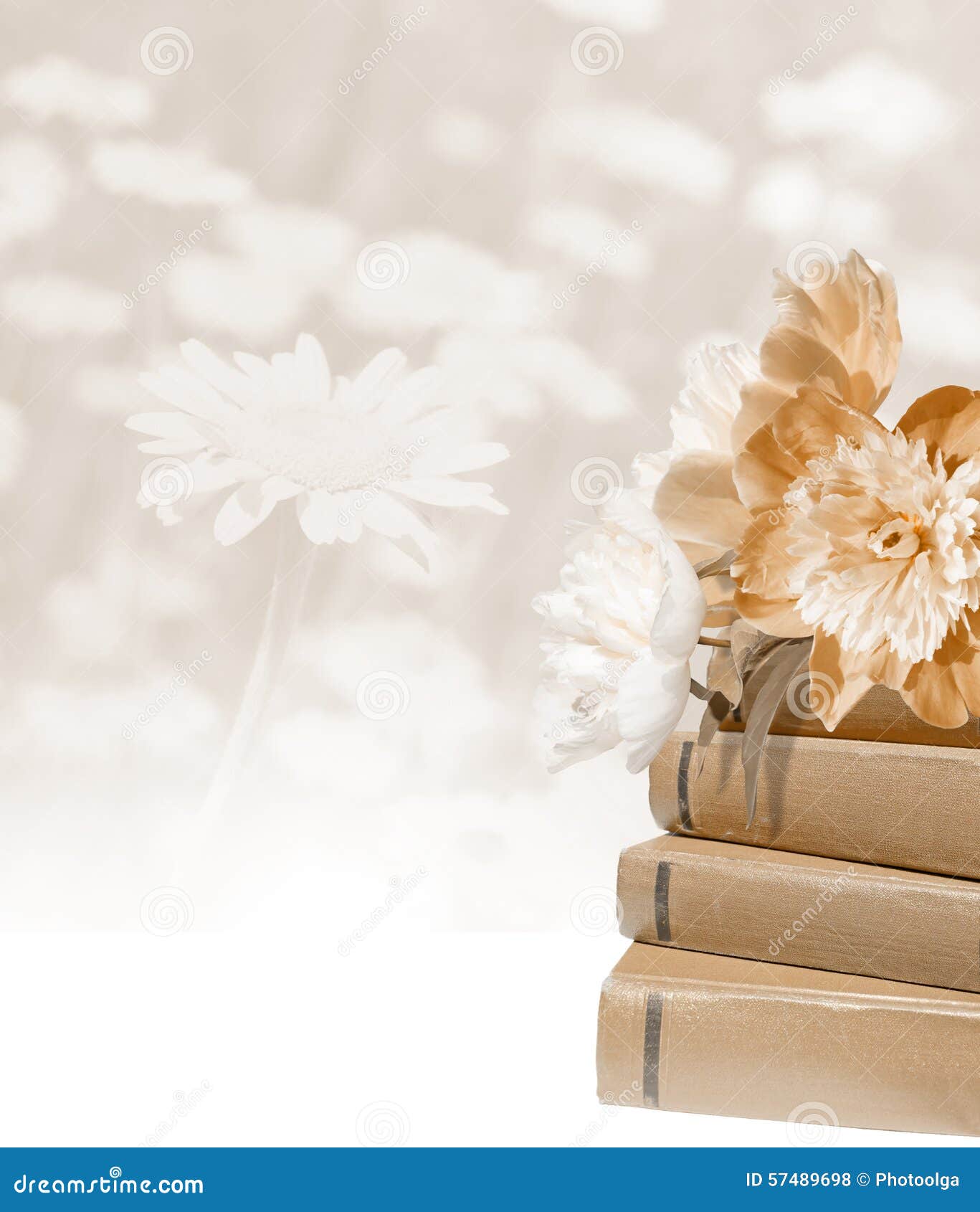 LIght Beige Background. Peony on the Books Stock Photo - Image of ...