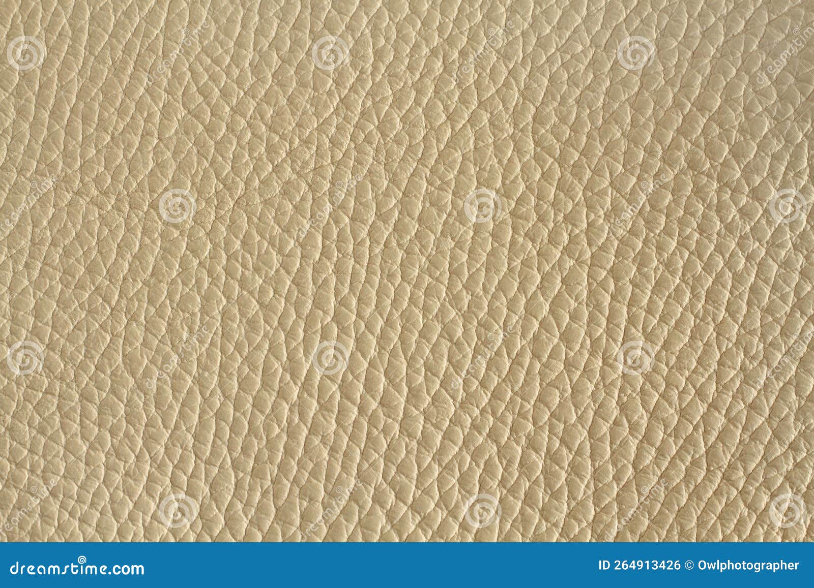 Light Beige Colored Cow Leather Texture. Closeup Stock Photo - Image of ...
