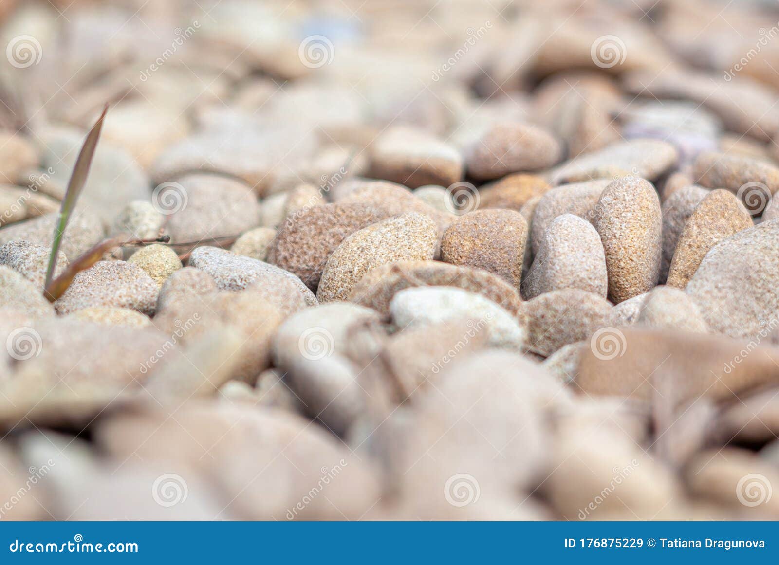 Light Beige Sandstone Pebbles Side View Background Texture Stock Image ...