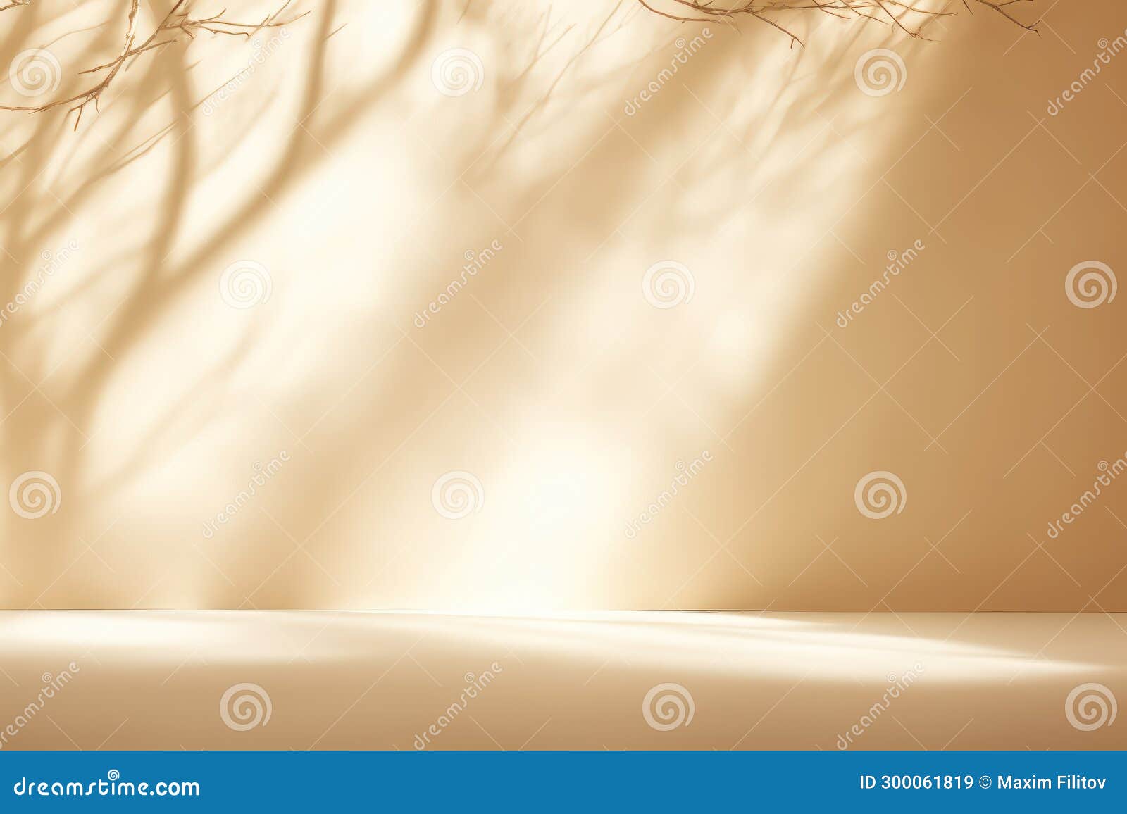 Light Beige Studio Background with Blurred Shadow from Tree Branches on ...