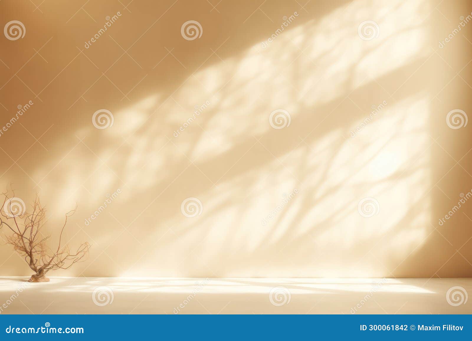 Light Beige Studio Background with Blurred Shadow from Tree Branches on ...
