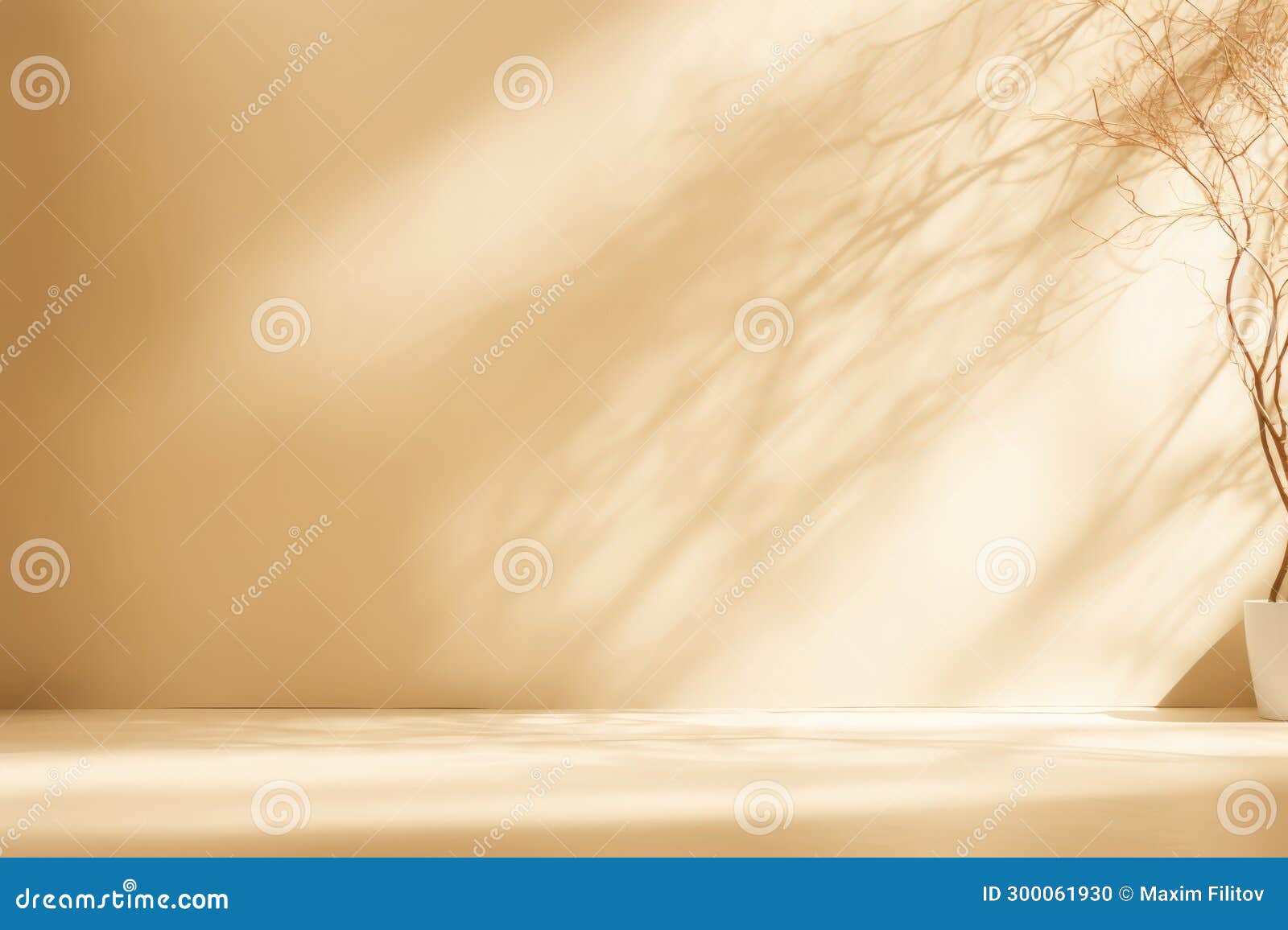 Light Beige Studio Background with Blurred Shadow from Tree Branches on ...