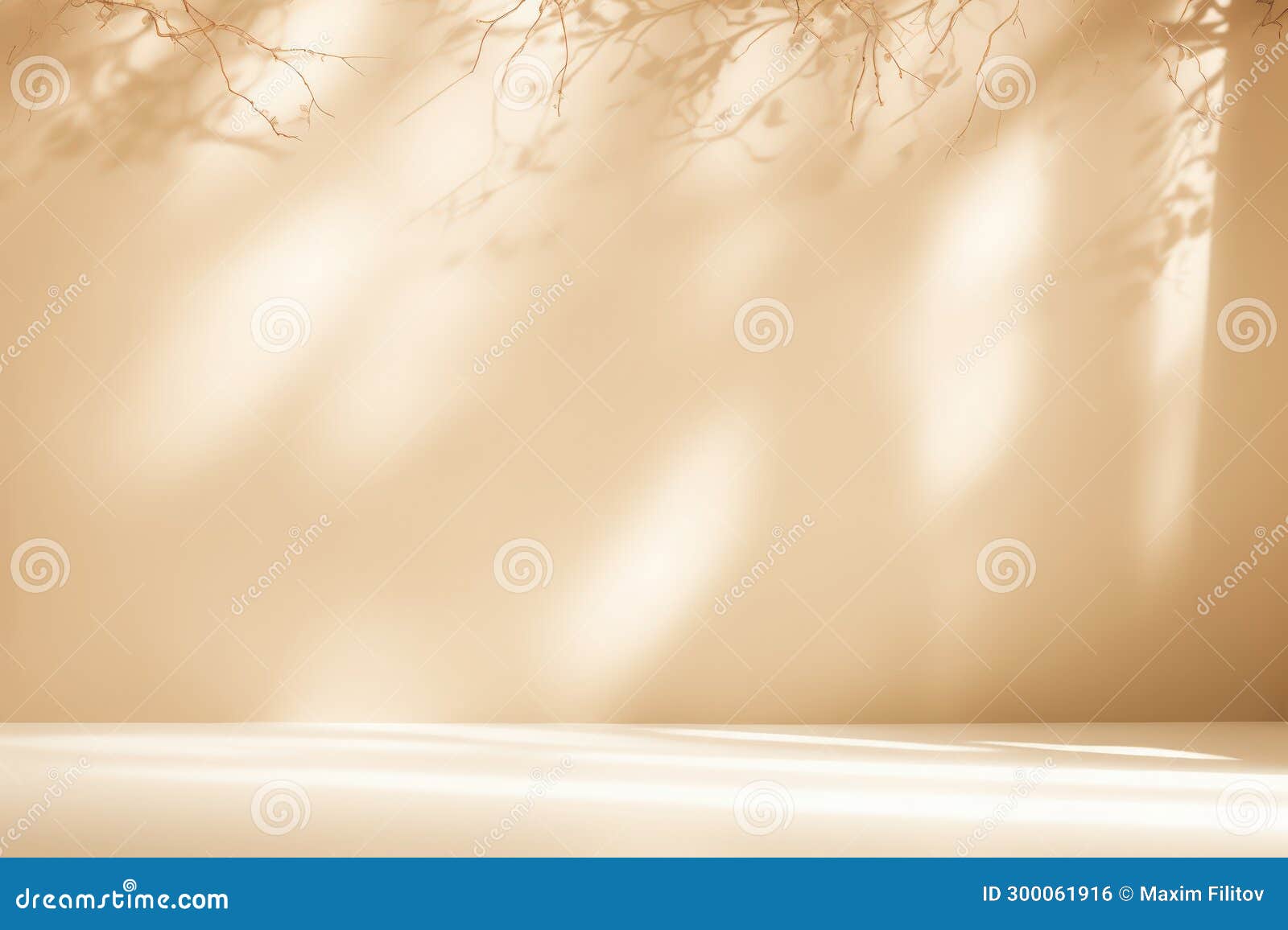Light Beige Studio Background with Blurred Shadow from Tree Branches on ...