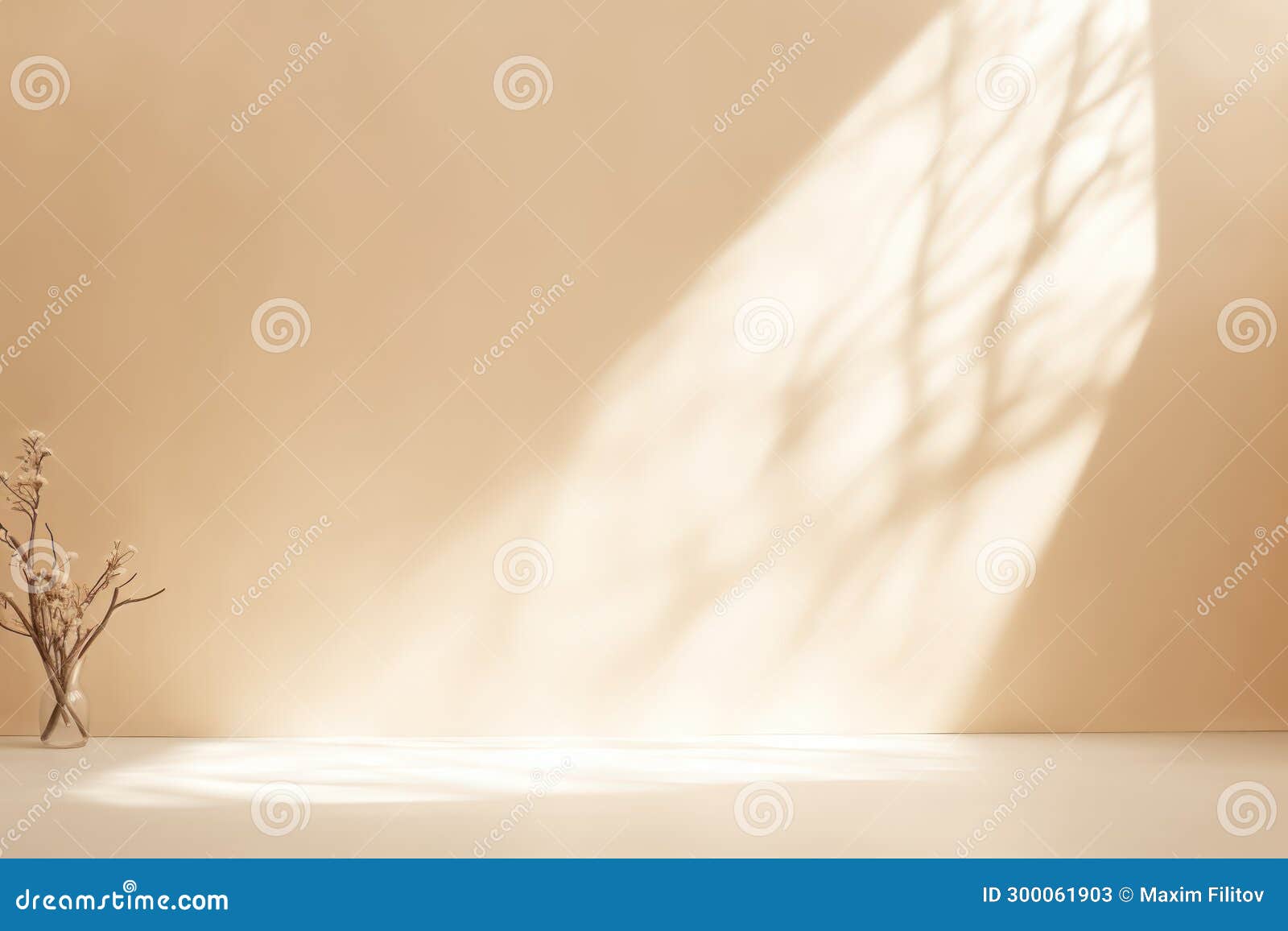 Light Beige Studio Background with Blurred Shadow from Tree Branches on ...