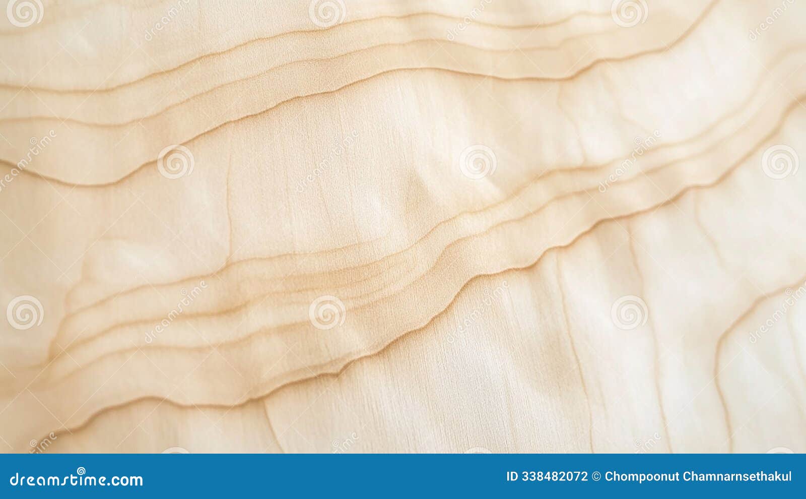 Light Birch Wood with a Clean, Delicate Texture and Gentle Grain ...