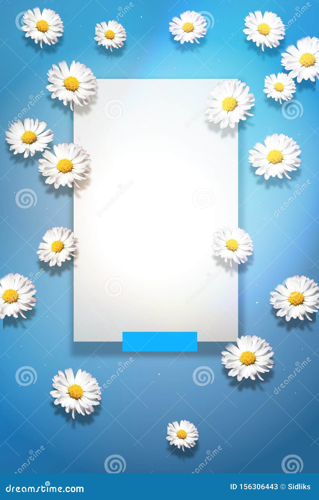 Light Blue Background with Daisy Stock Image - Image of flower ...