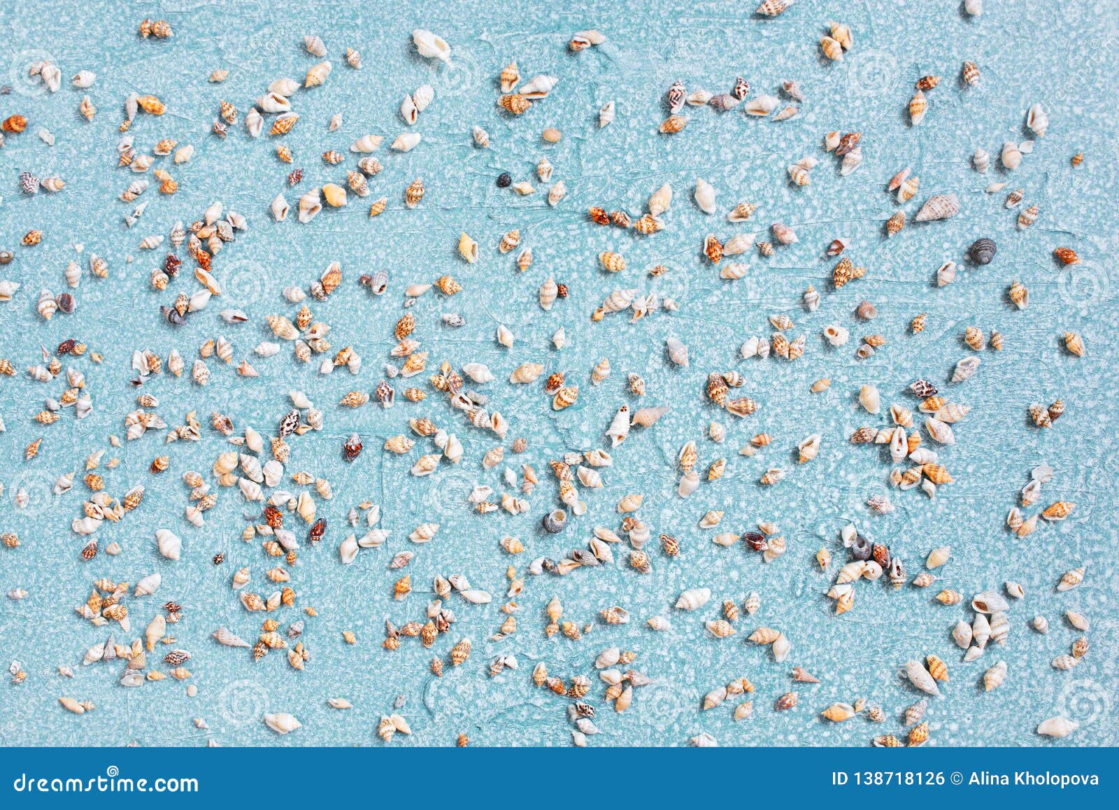 Light Blue Background with Seashells, Top View Stock Photo - Image of ...