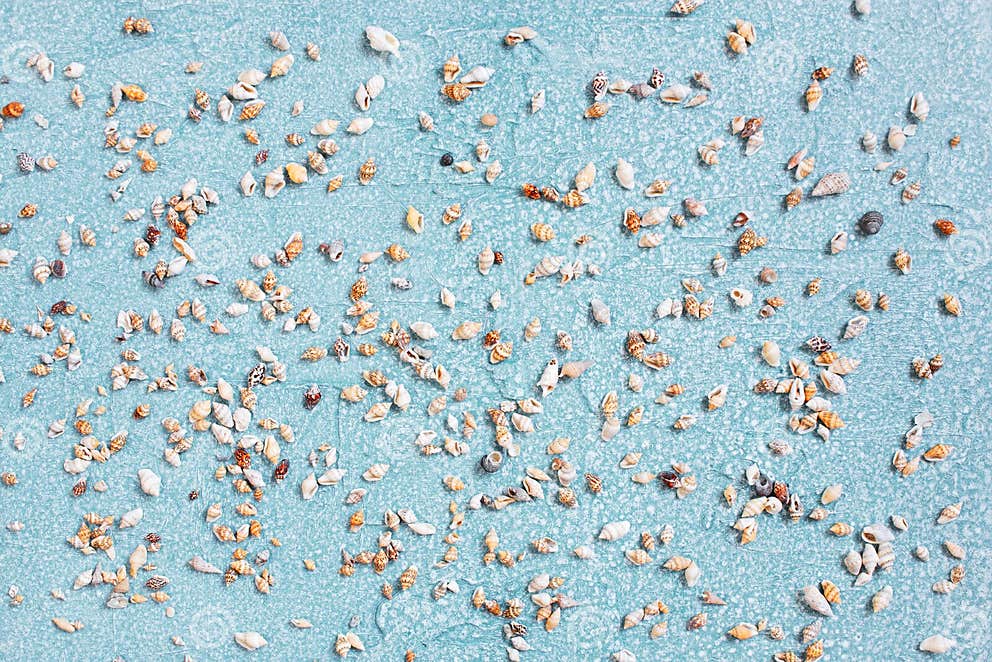 Light Blue Background with Seashells, Top View Stock Photo - Image of ...