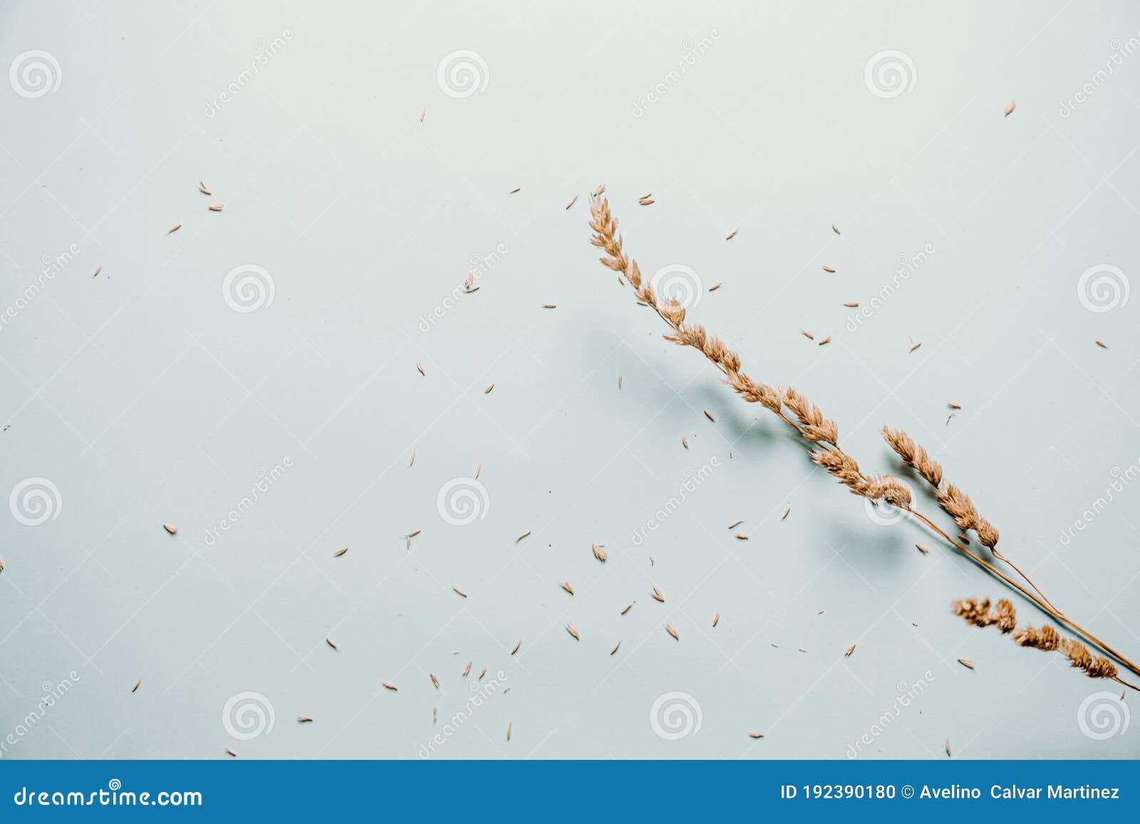 A Light Blue Background with a Single Spike Showing from a Corner Stock ...