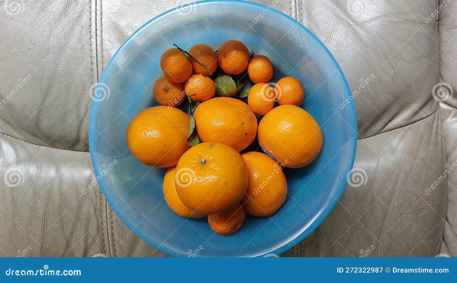 A Light Blue Basin Filled with Oranges with 2 Types of Sizes, Large and ...