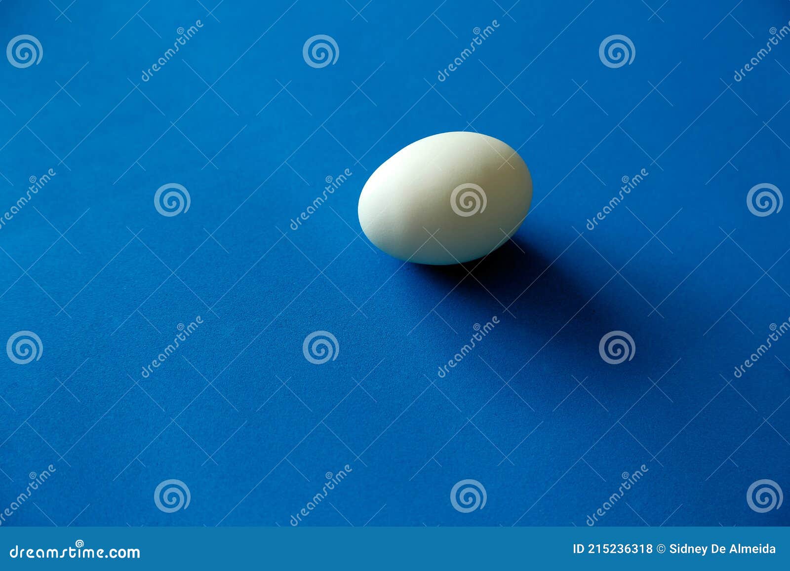 Light Blue Egg on Blue Surface Stock Photo - Image of bark, food: 215236318