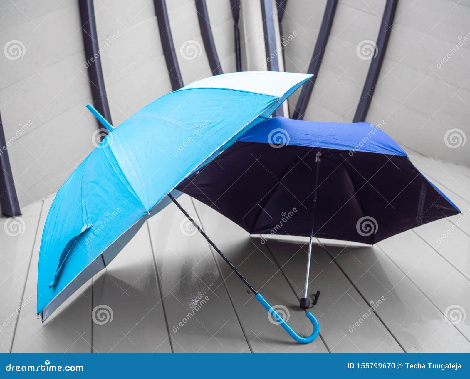 Light Blue and Dark Blue Umbrella Stock Photo - Image of season ...