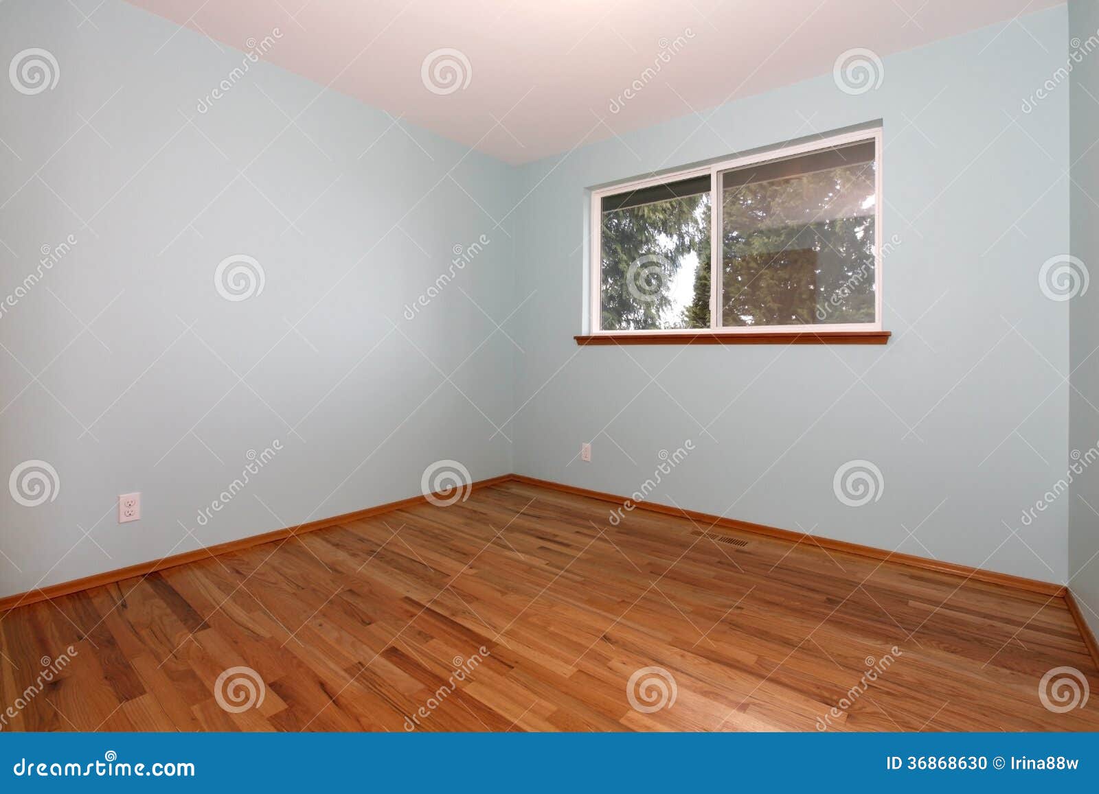 Light blue empty room stock photo. Image of style, green - 36868630