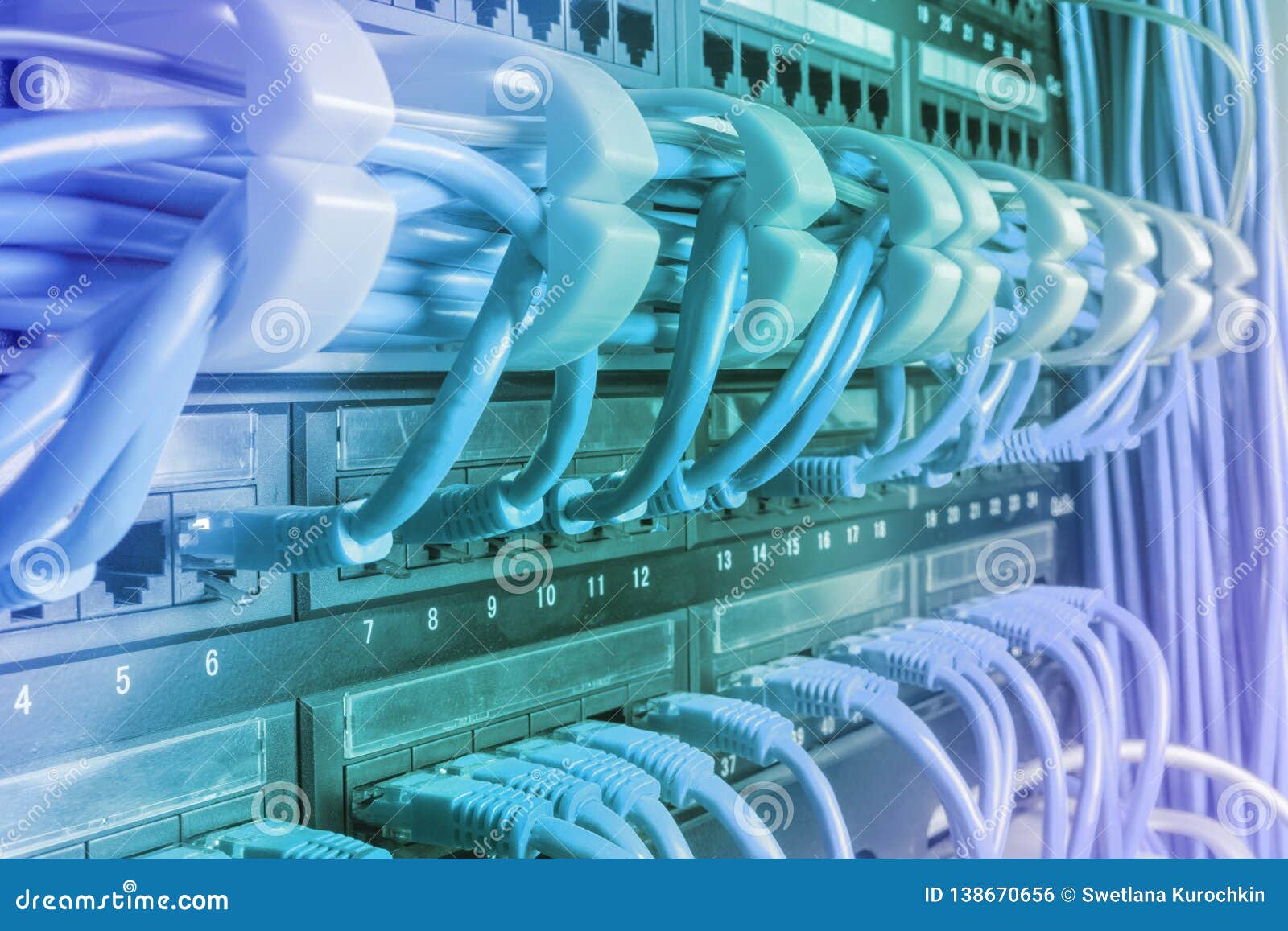 Light Blue Patch Cord Internet Cables Connected Stock Photo - Image of ...