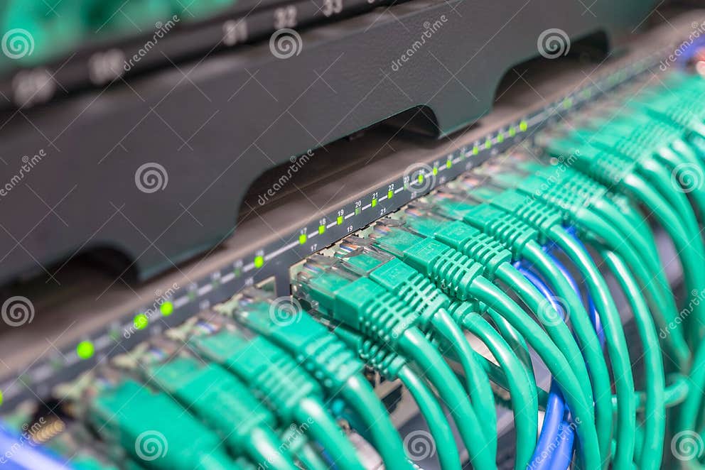 Light Blue Patch Cord Internet Cables Stock Photo - Image of fiber ...