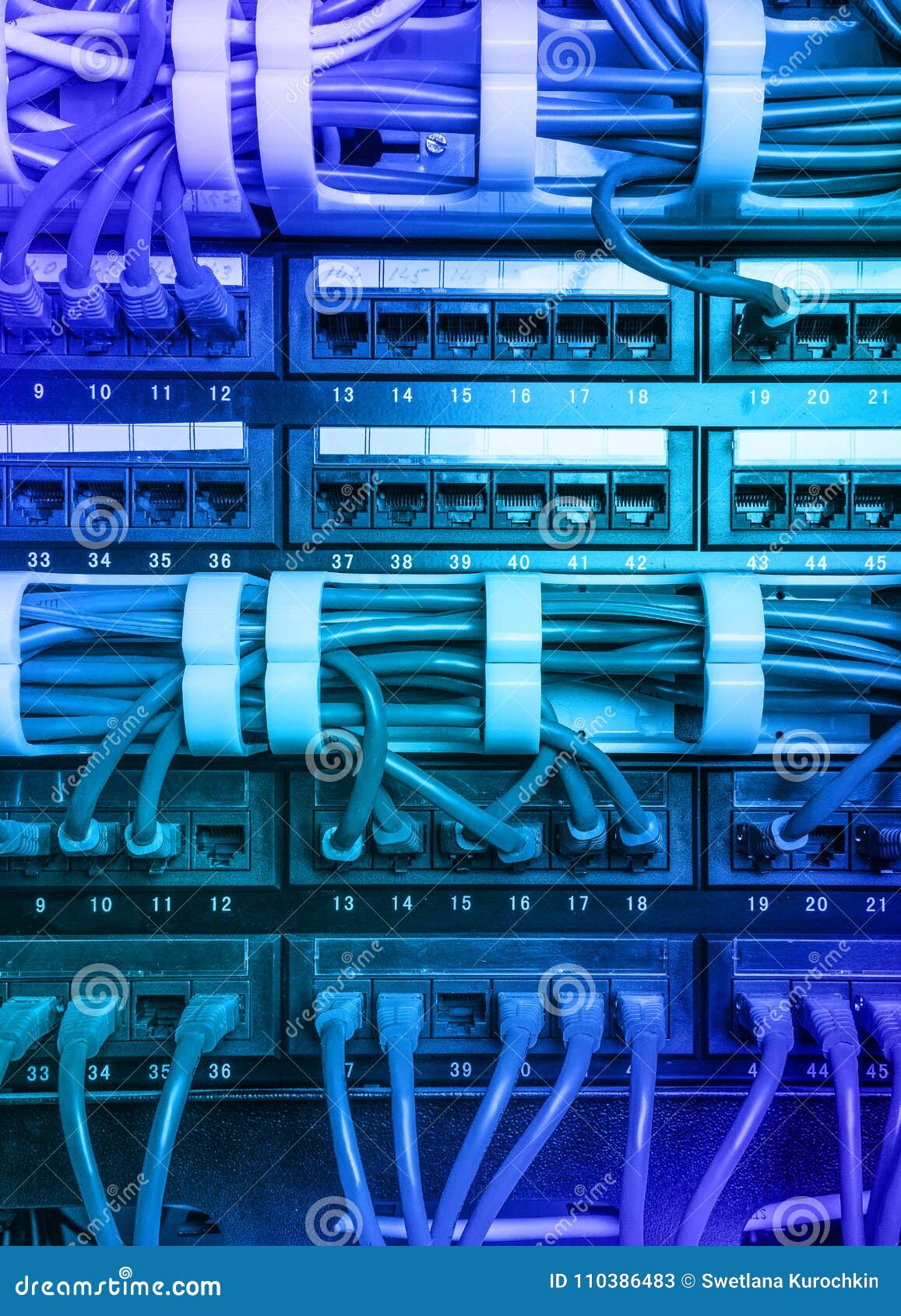 Light Blue Patch Cord Internet Cables Stock Image - Image of digital ...