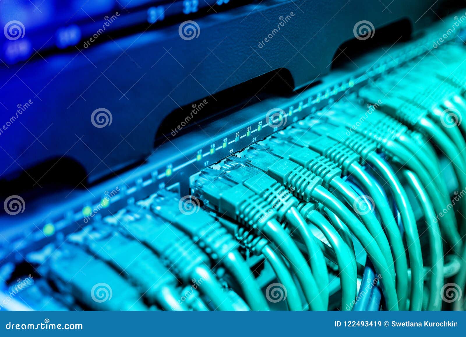 Light Blue Patch Cord Internet Cables Stock Image - Image of data, cord ...