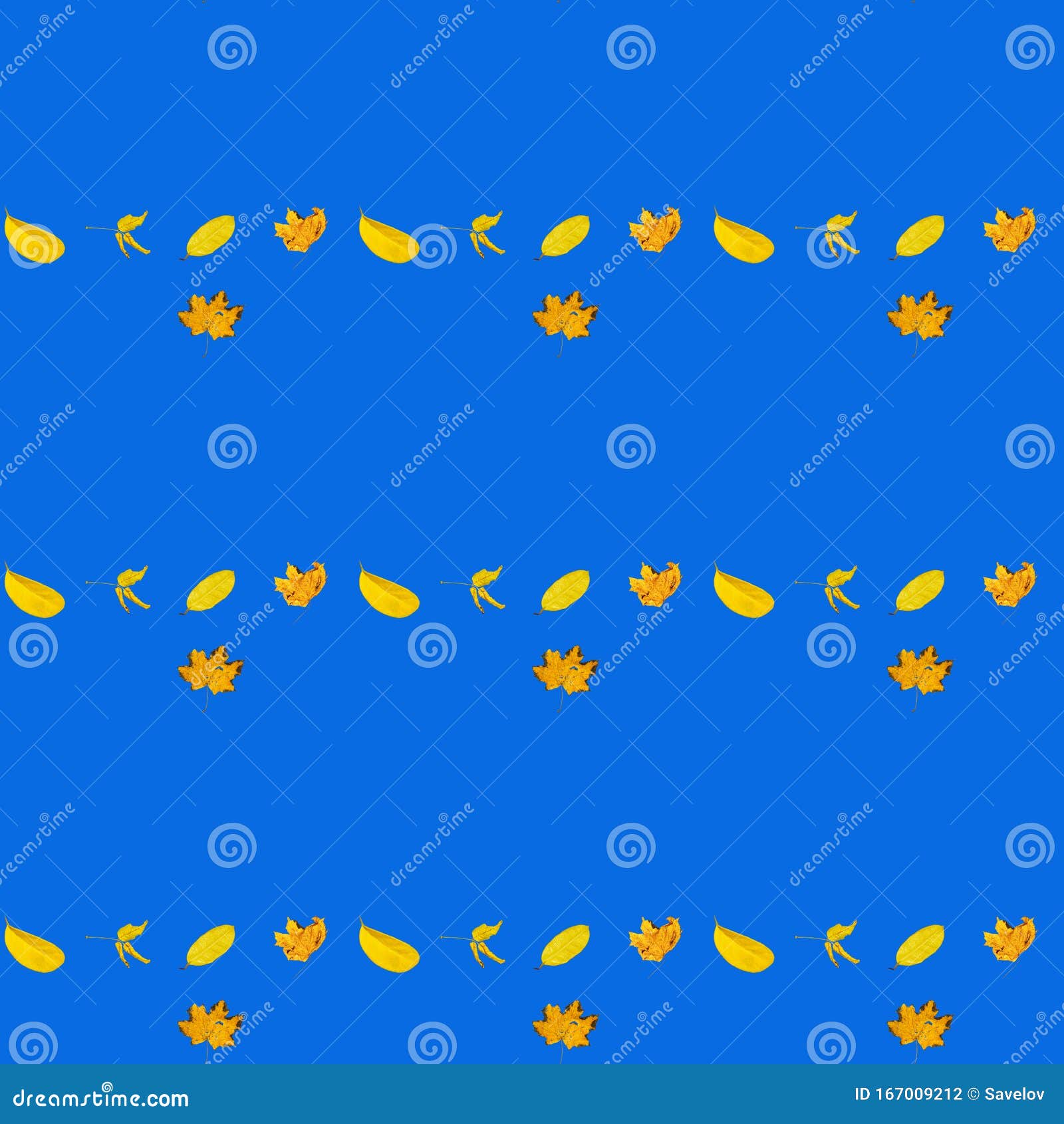 Light Blue Repetitive Background with Dry Ash Leaves Stock Photo ...