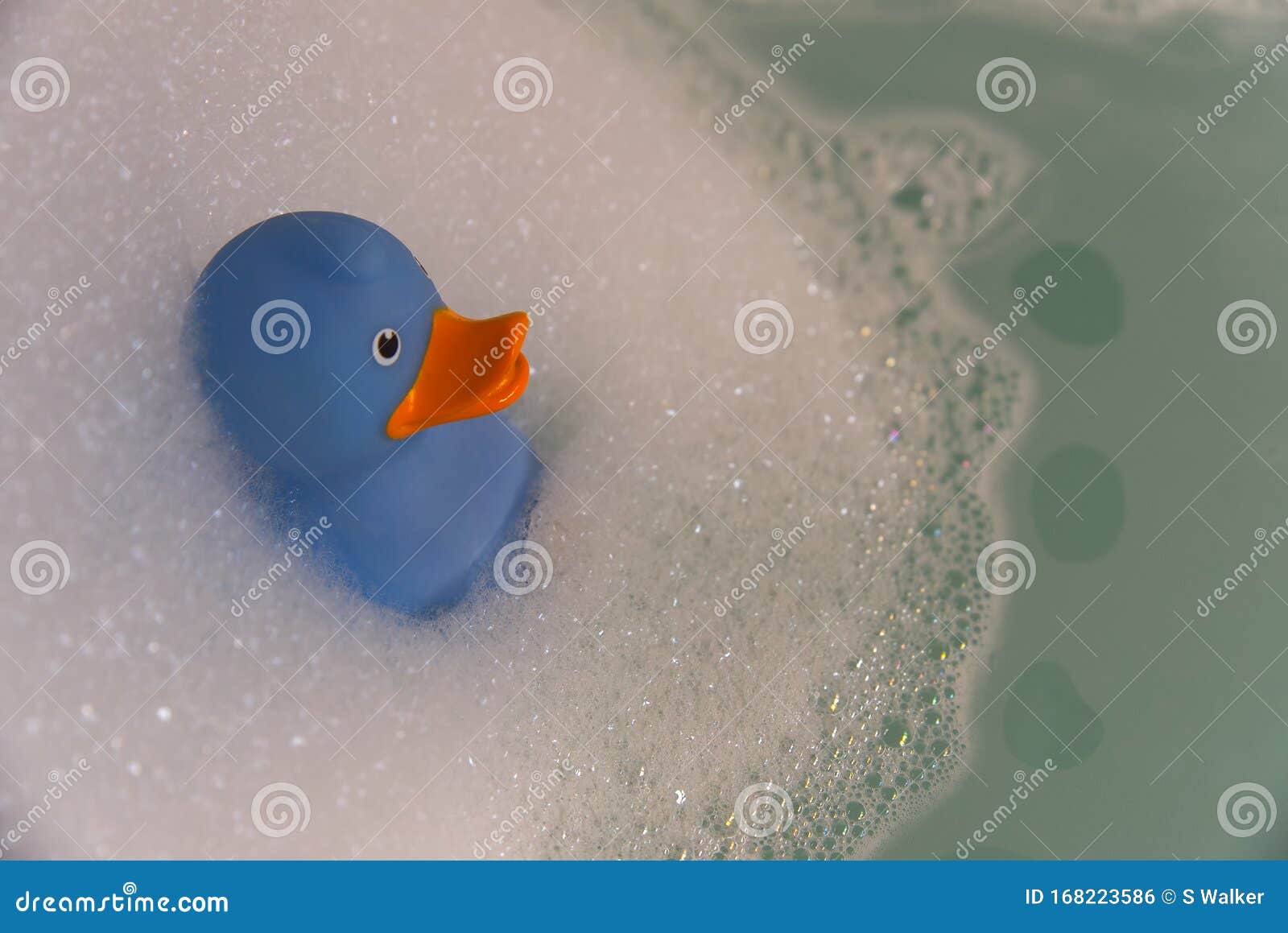 Light Blue Rubber Duck Emerges from Soap Bubbles. Stock Photo - Image ...