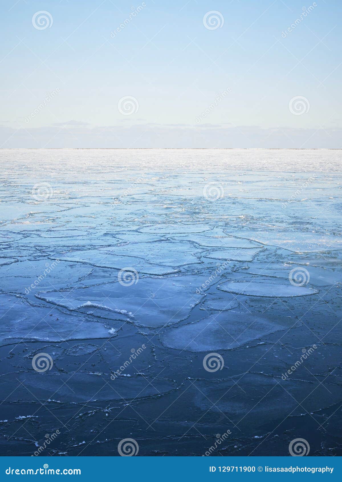 Sheets of ice in ocean stock photo. Image of snowy, small - 129711900