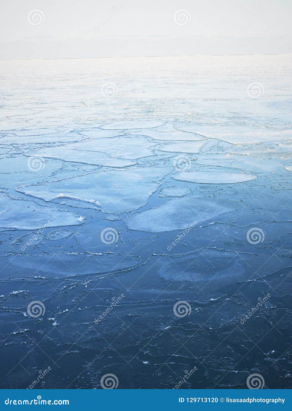 Sheets of ice in ocean stock photo. Image of light, ocean - 129713120