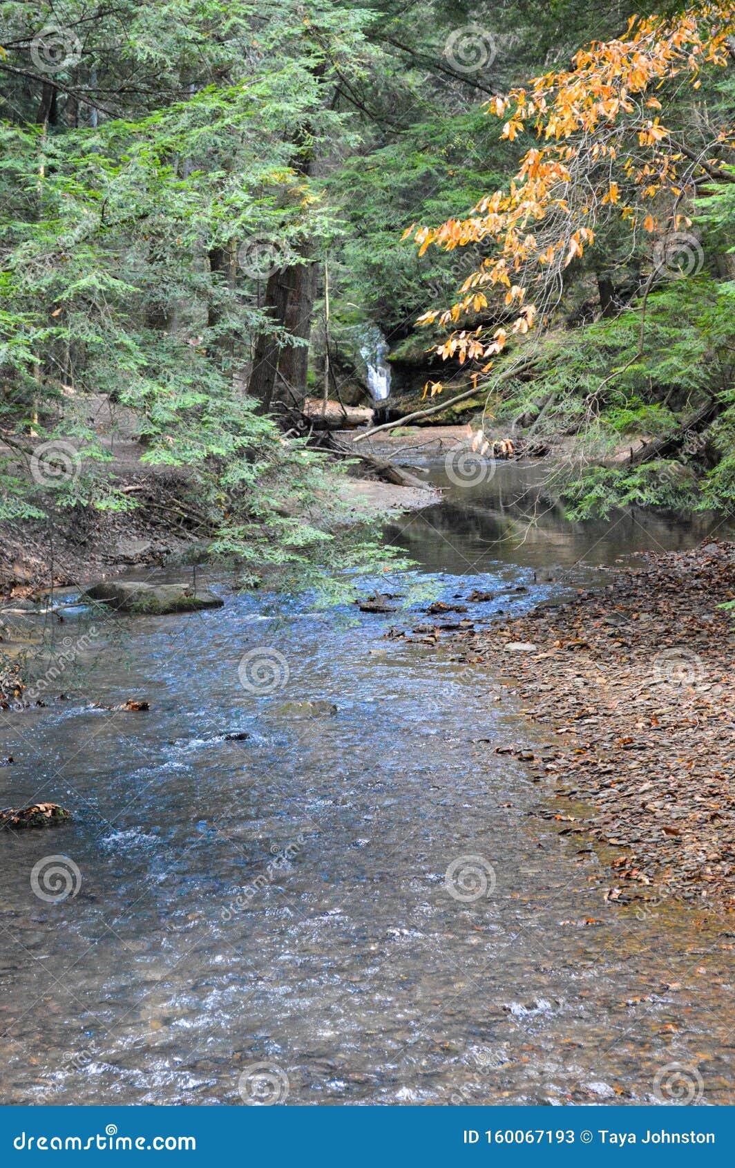 Light Blue Stream of Water Flowing through a Forest Stock Image - Image ...