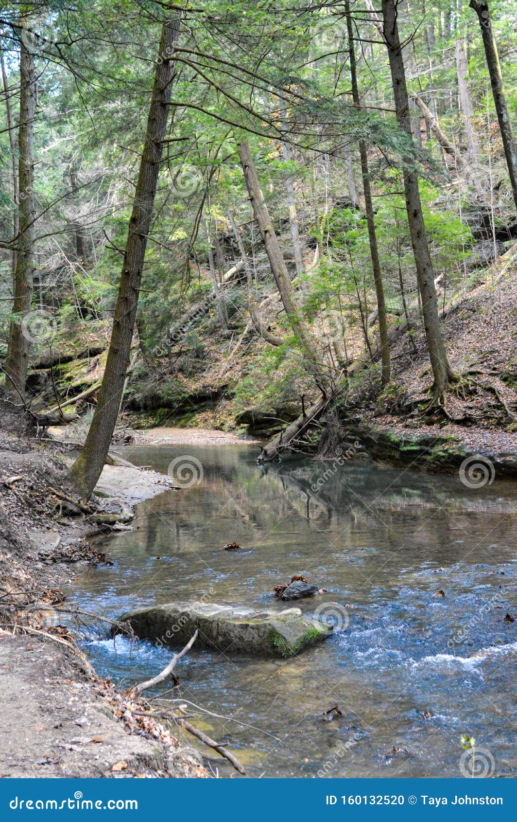 Light Blue Stream of Water Flowing through a Forest Stock Photo - Image ...
